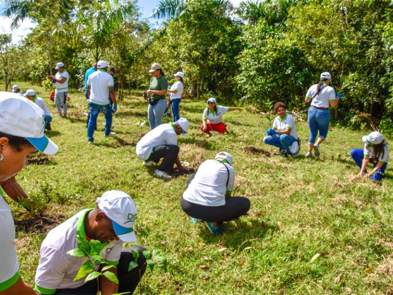 DGJP realiza jornada de reforestación - Dirección General de ...